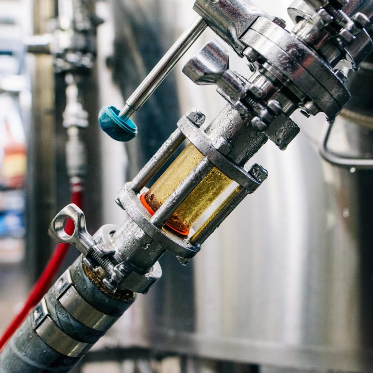 Warped Wing Brewing Co. Fly Light Lager